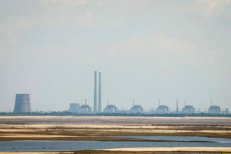 Ukraine's Zaporizhzhya nuclear plant reconnected to grid after IAEA ...