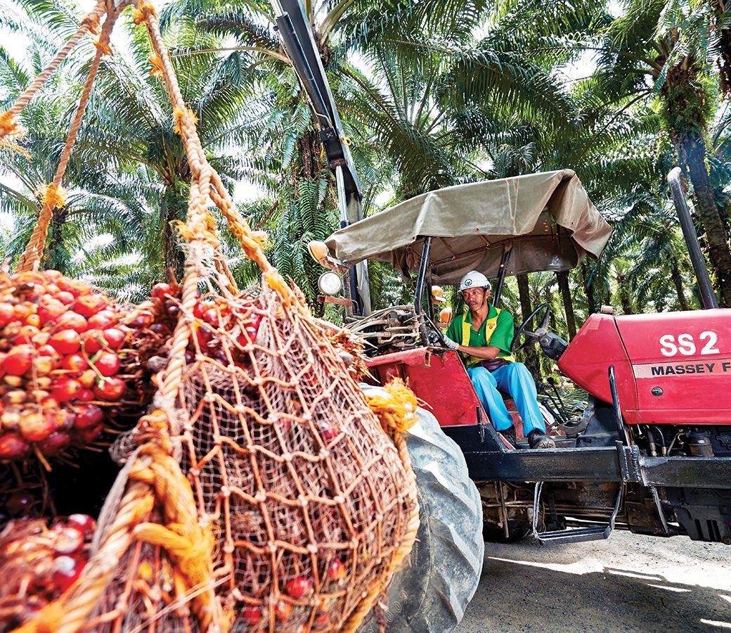 Hap Seng to benefit from high CPO price | The Star
